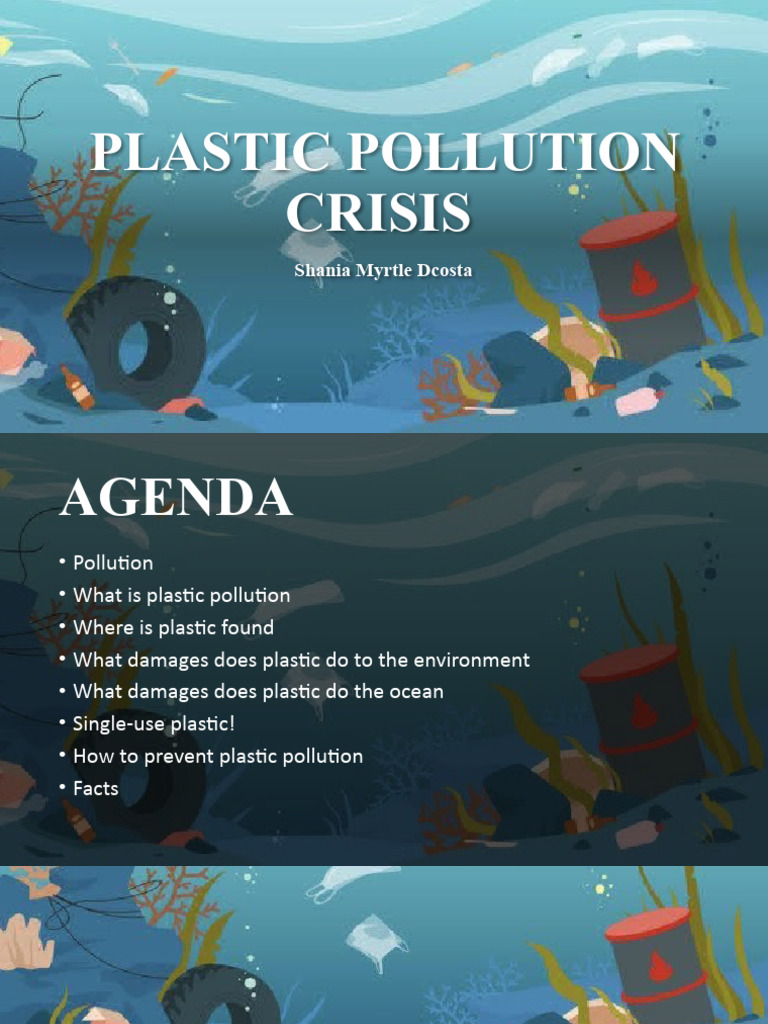 Plastic Pollution | PDF | Plastic | Pollution