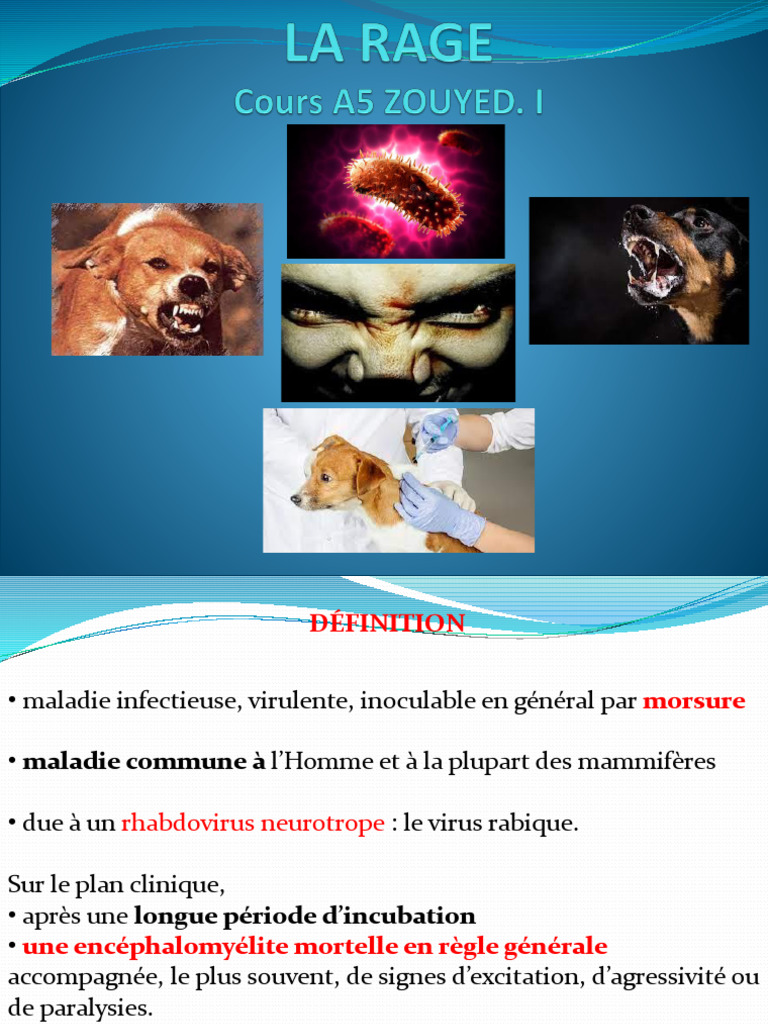La Rage | PDF | Rage (maladie) | Immunologie