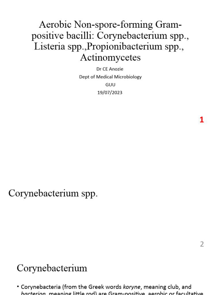 Aerobic Non-spore-Forming Gram-Positive Bacilli Corynebacterium SPP ...