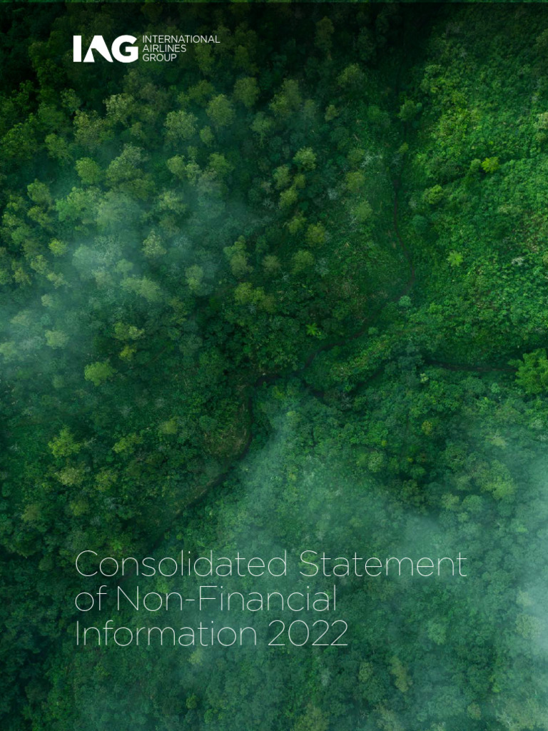 Iag 2022 | PDF | Sustainability | Business