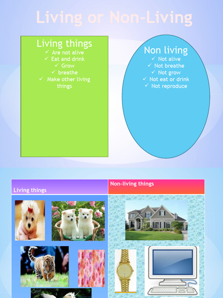 Living vs Non-Living Things Explained | PDF