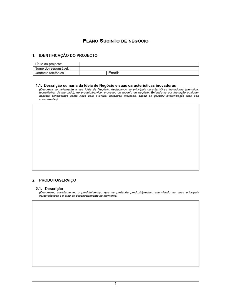 Plano Sucinto de Negócio | PDF
