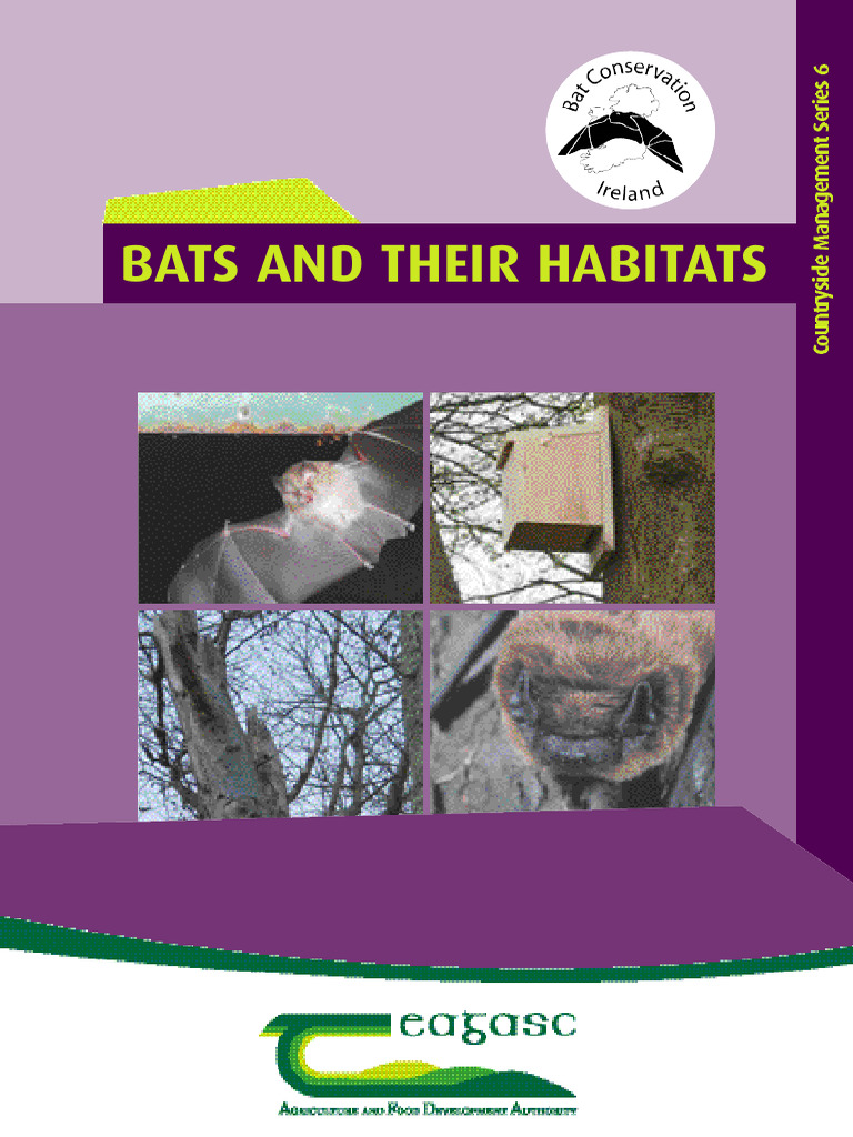 Teagasc BATS | PDF | Bat
