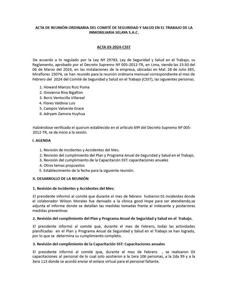 2024.03 - Acta 03 - 2024-CSST Reunion Ordinaria | Descargar gratis PDF | Gobierno