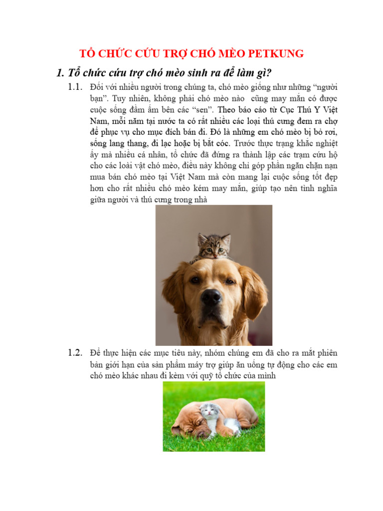 T CH C C U TR Chó Mèo Petkung | PDF
