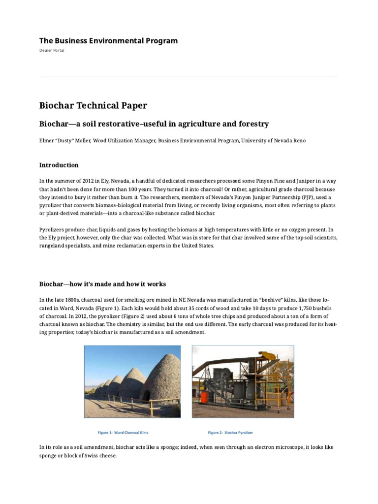 Biochar Technical Paper - The Business Environmental Program | PDF ...