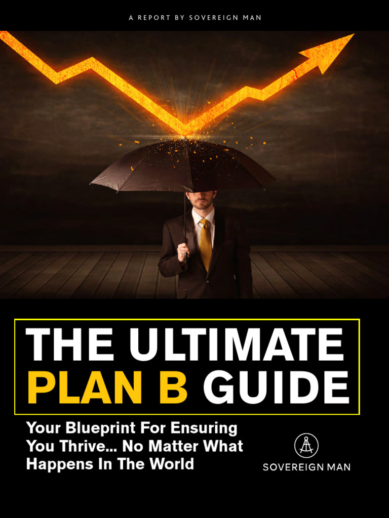 Perfect Plan B Guide | PDF