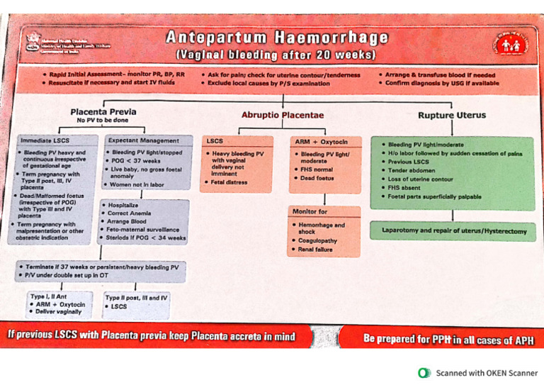 Iec 12 | PDF