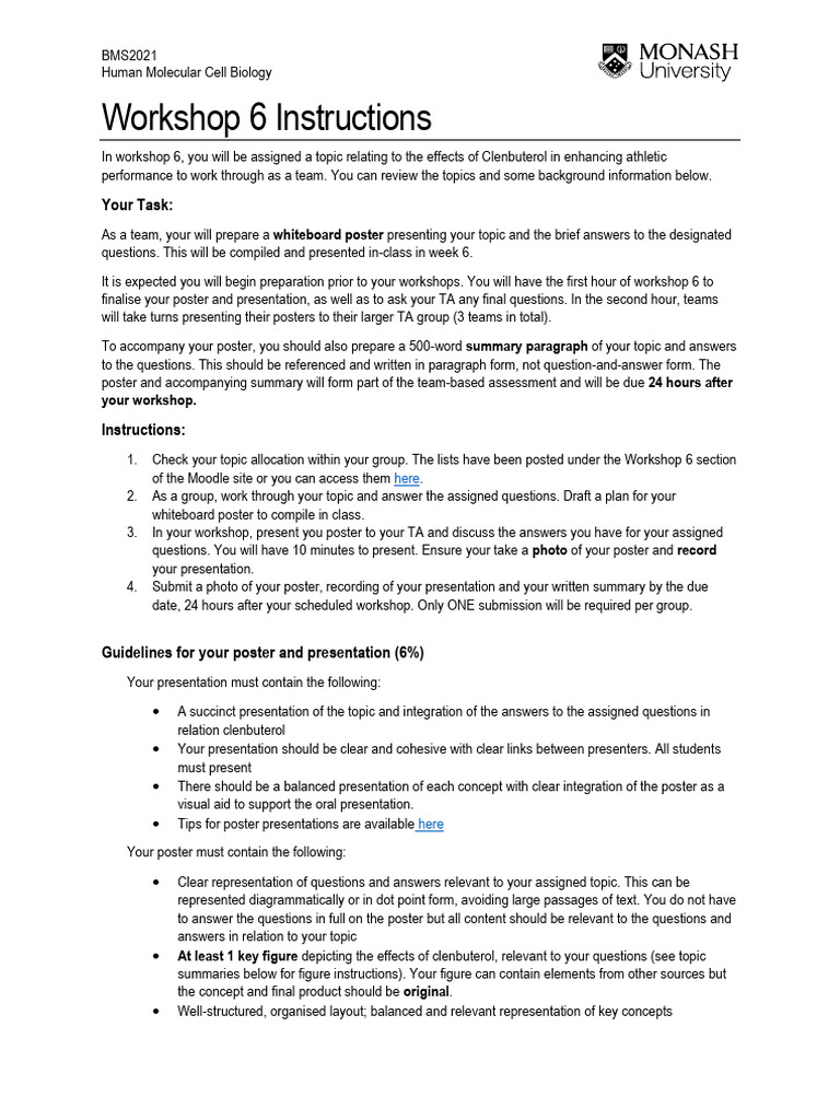 Worshop 6 Instructions 2024 | PDF