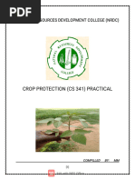 Components of Pneumograph | PDF