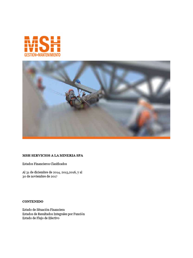 Estados Financieros - MSH | PDF | Estado de resultados | Economias