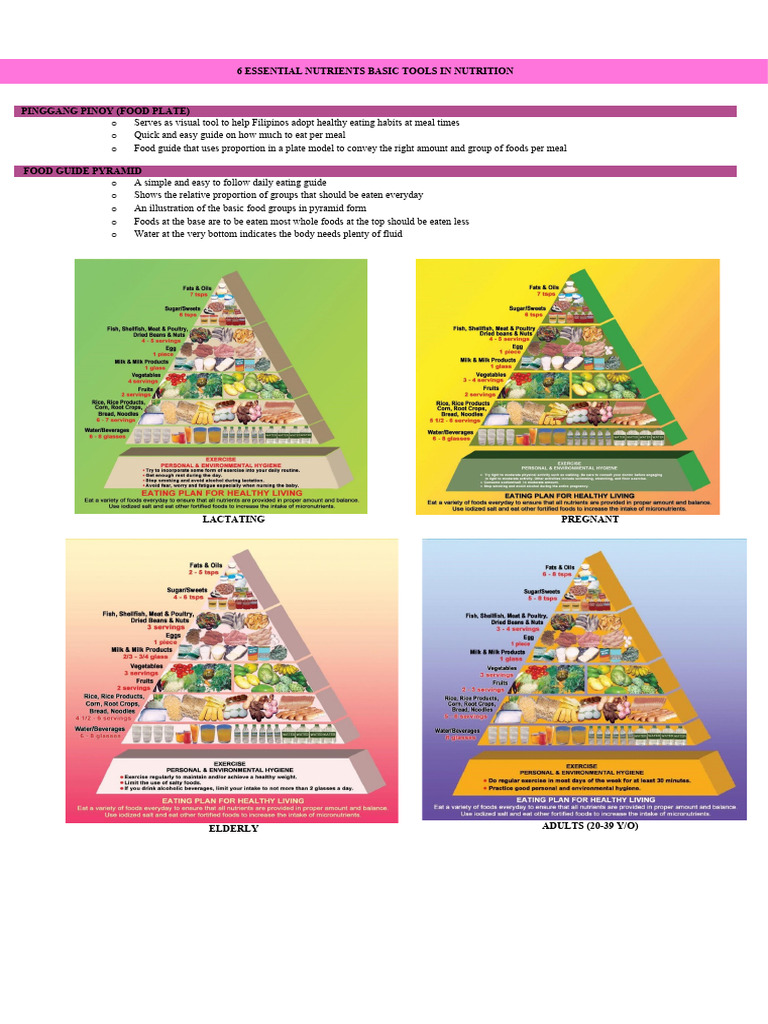 6 Essential Nutrients Basic Tools in Nutrition | Download Free PDF ...