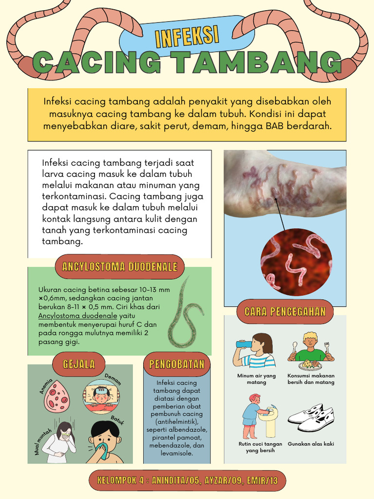 Infeksi Cacing Tambang | PDF