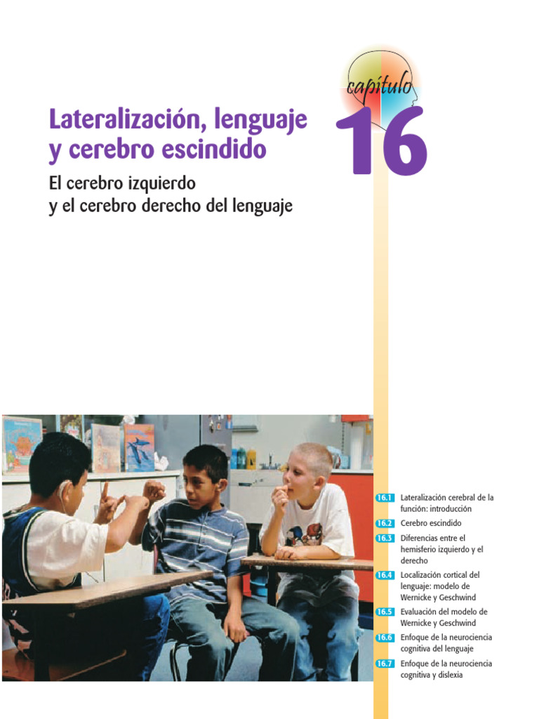 Lateralización, Lenguaje Y Cerebro Escindido | PDF