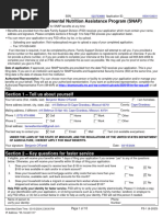 Georgia SNAP Periodic Report Form | PDF | Supplemental Nutrition ...