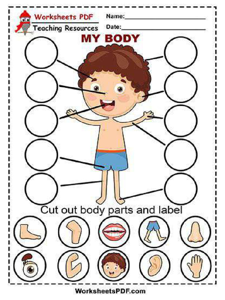 Cut Out Body Parts | PDF