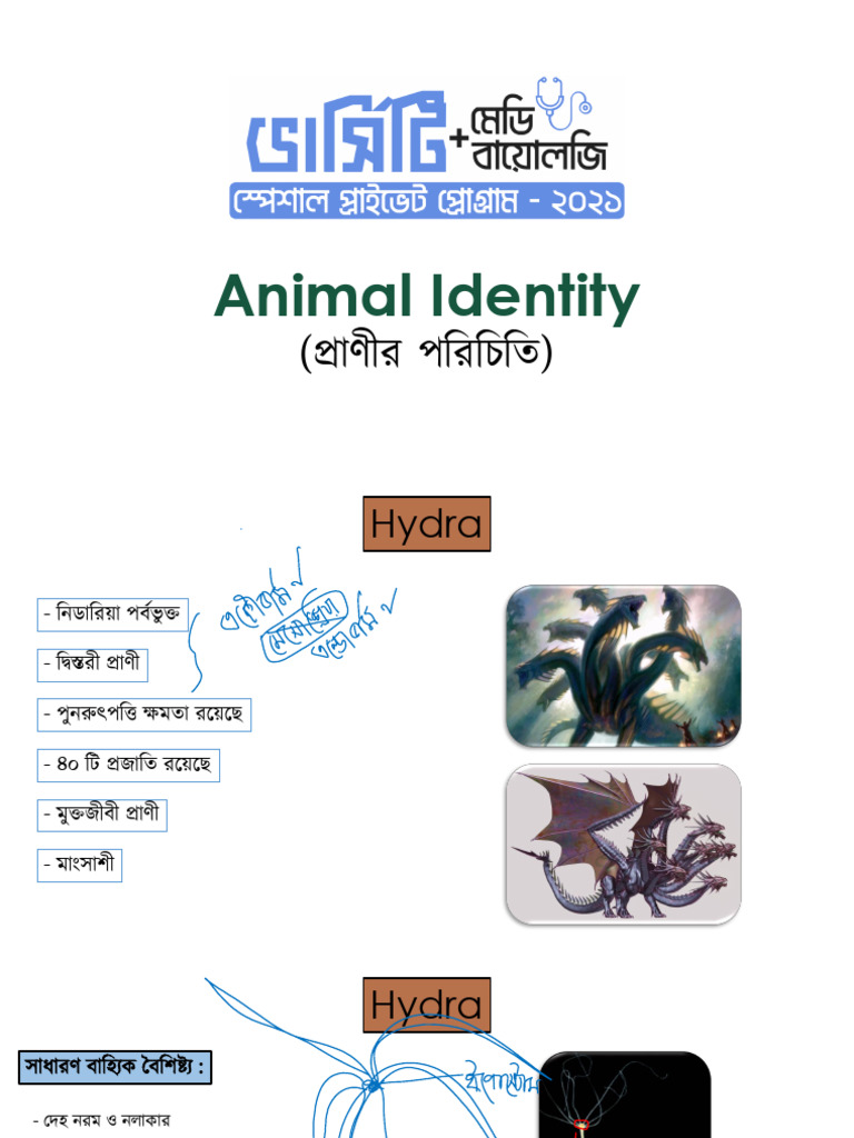 Animal Identity | PDF