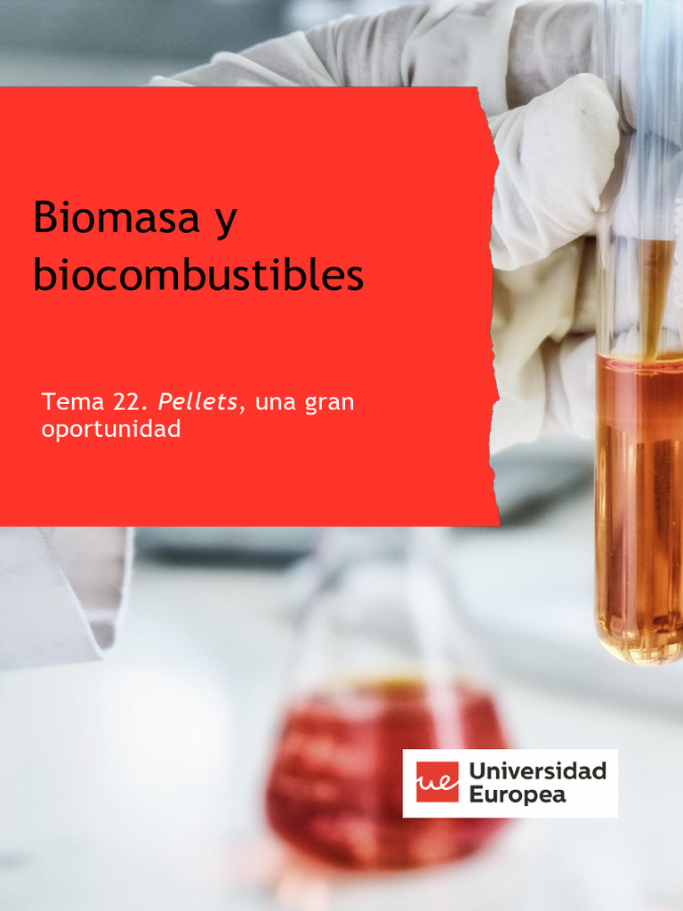 TEMA 22. Pellets, Una Gran Oportunidad | PDF | Biocombustible | Biomasa