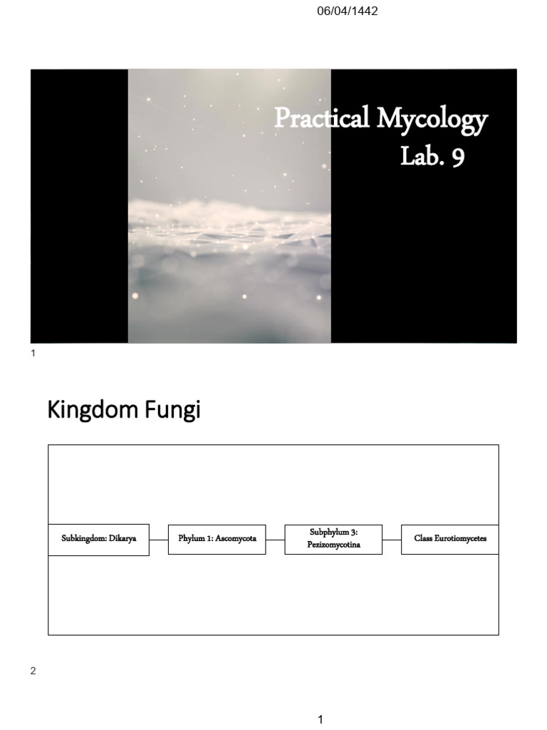 MICR 331 - Lab.9 | PDF | Organisms | Fungus