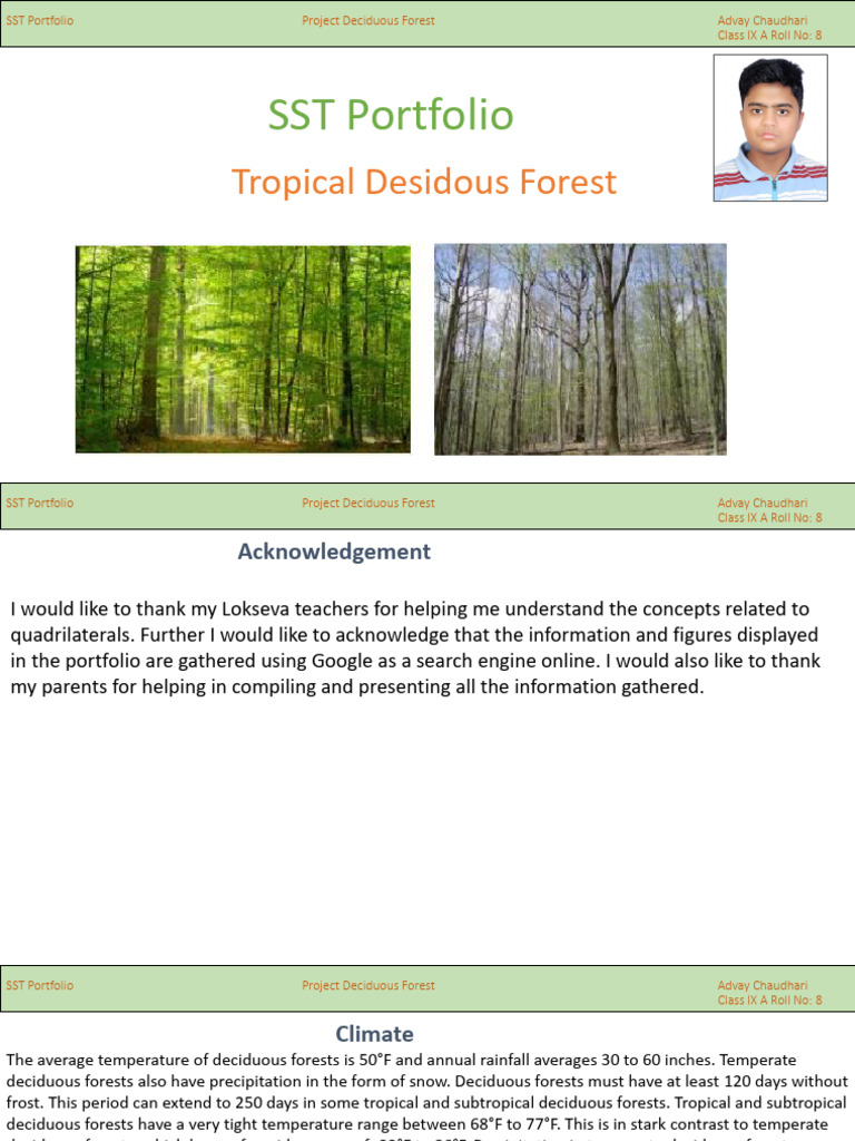 SST Portfolio Project | PDF | Forests | Food Web