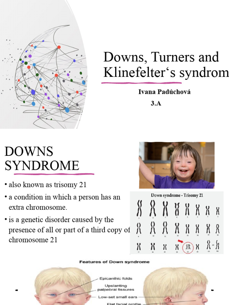 Genetic Disorders: Down, Turner, Klinefelter | PDF | Down Syndrome ...