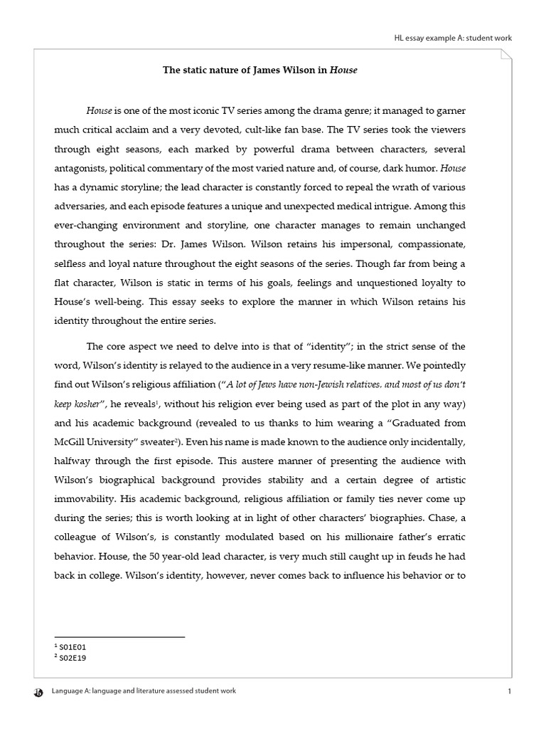 IBDP English A - HL Essay - Sample Student Submission | PDF