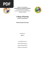 Kleinman's Explanatory Model of Illness | PDF | Mental Disorder ...