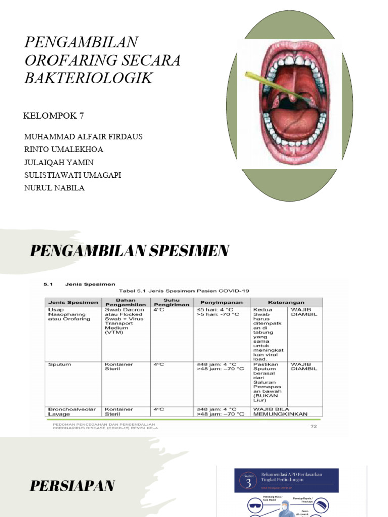 Kolompok 7 Bakteriologi 2 Pengambilan Sampel Swab Orofaring Secara ...