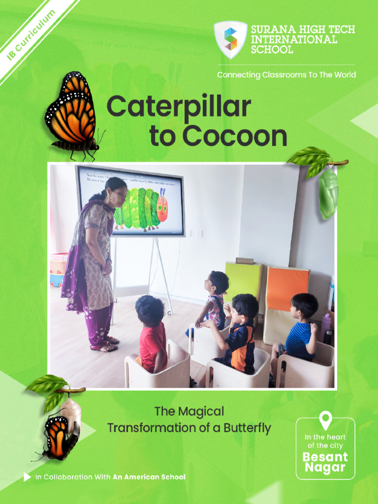 Caterpillar To Cocoon | PDF