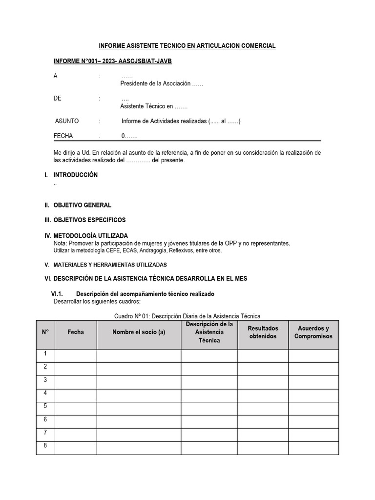 Modelo Informe de Asistente Tecnico | PDF | Negocios