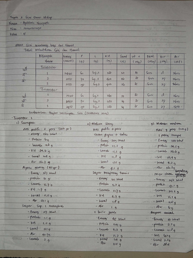 H8 AFDILLAH NURFATH TGS 3 - Compressed | PDF
