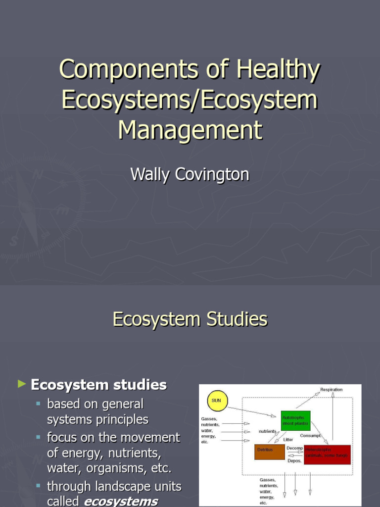Covington Healthy Ecosystems | PDF | Ecosystem | Forests