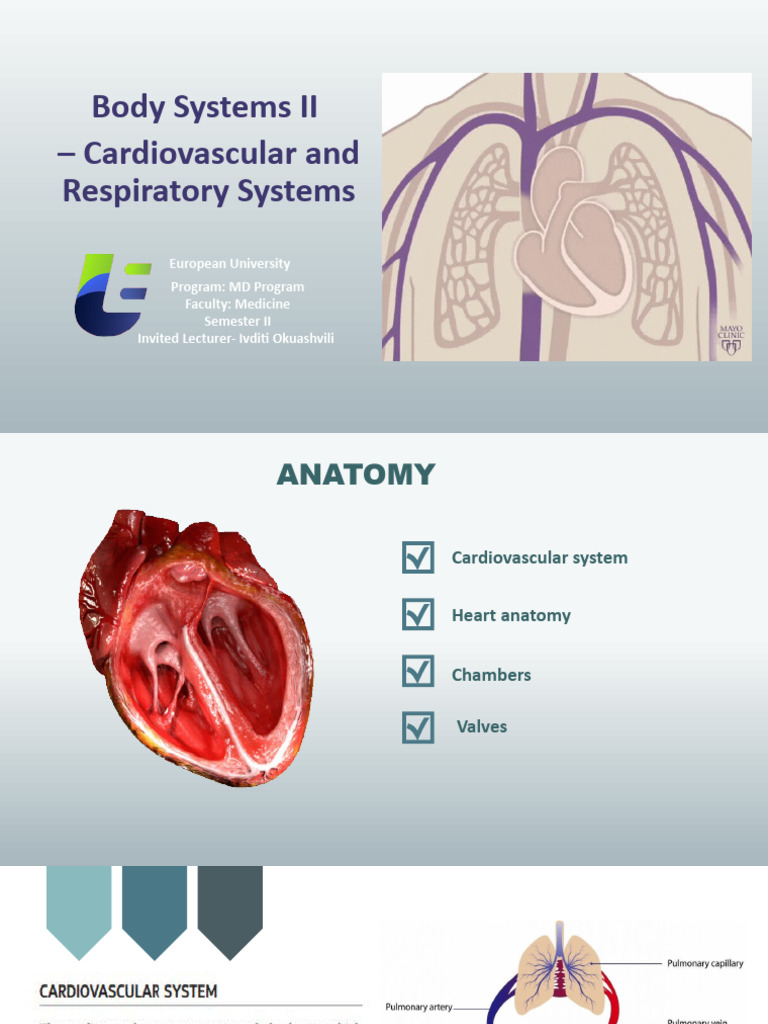 1.Cardiovascular System | PDF