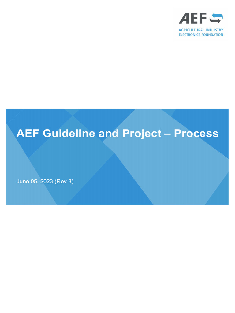 AEF Guideline Project Process 2023 (Rev3) | PDF | International ...