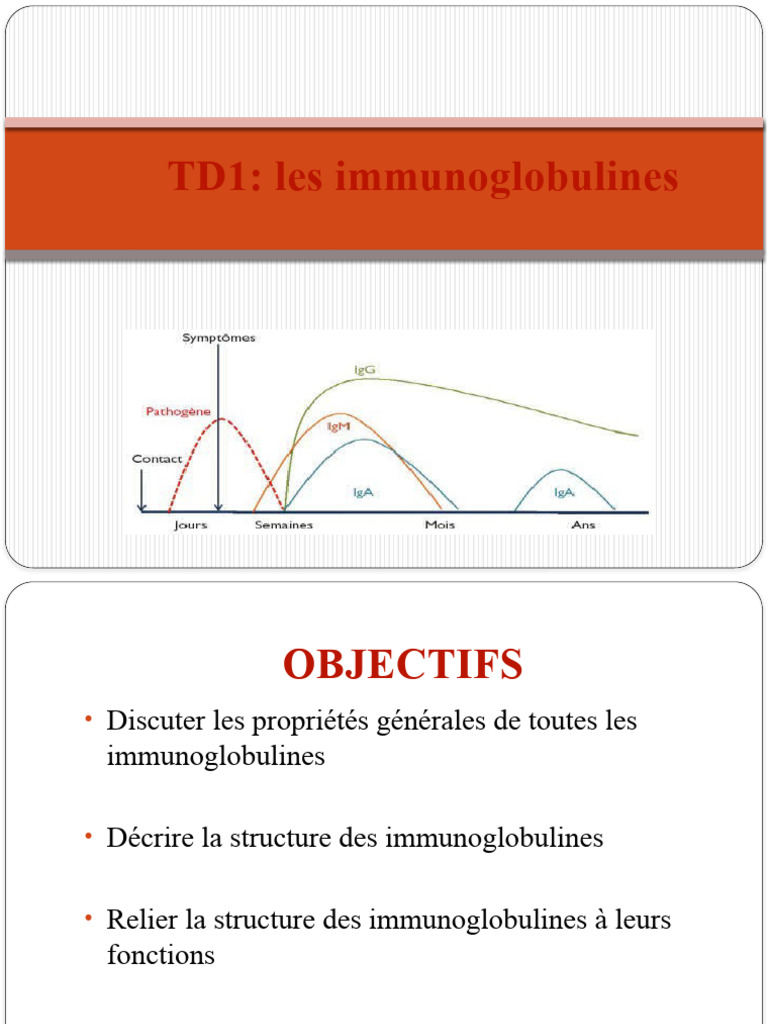Immunoglobuline | PDF | Immunoglobuline G | Anticorps