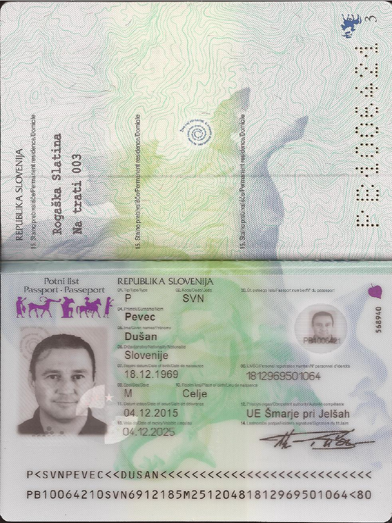 Passport 1 | PDF