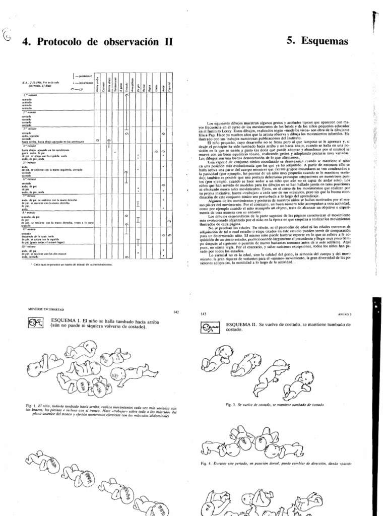 Esquemas evolutivos, maternal (Ap. 4) | PDF | Anatomía | Morfología (biología)