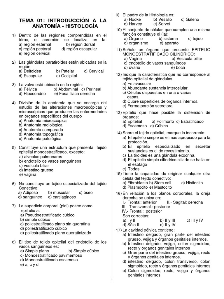Banco de Preguntas 01 | PDF