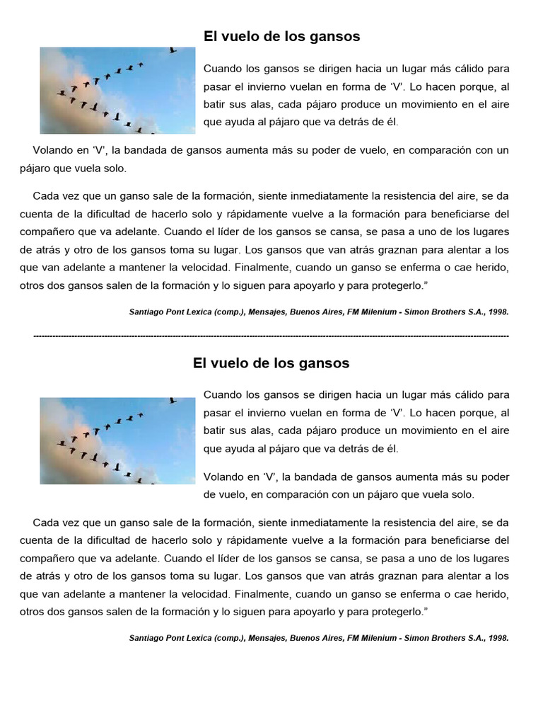 El Vuelo de Los Gansos | Descargar gratis PDF | Aves