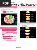 Signo del Témpano y Fabela en Rodilla | PDF | Rodilla | Pie