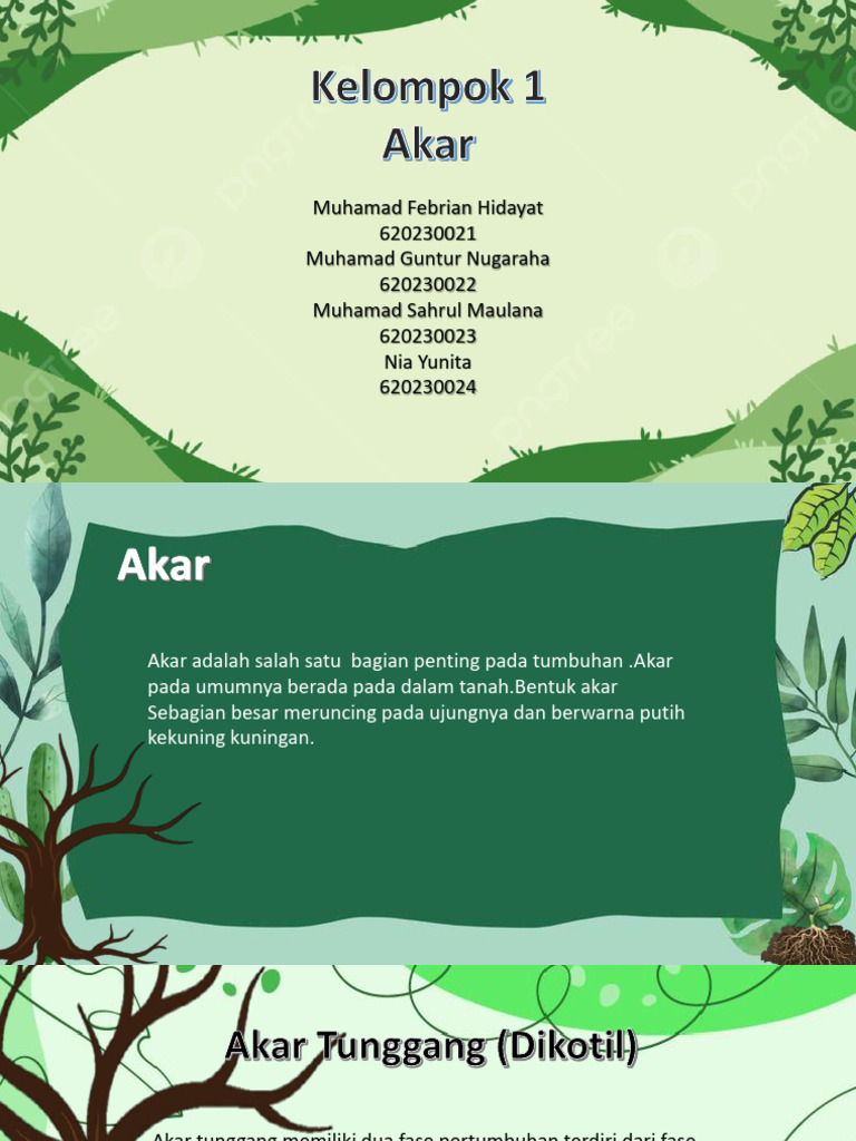 Jenis-Jenis Akar Tumbuhan dan Fungsinya | PDF