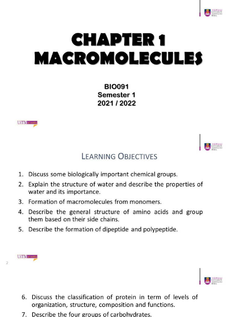 Chapter 1 Macromolecules | PDF
