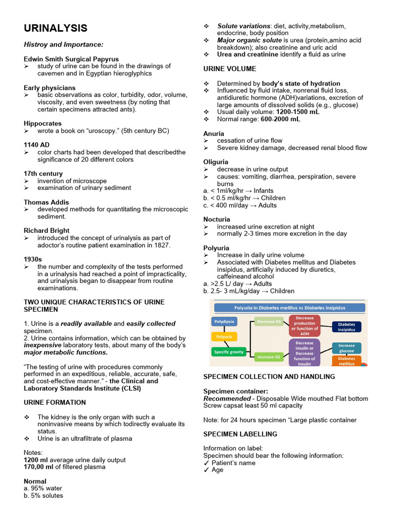 MLSP Midterm | PDF | Urine | Kidney