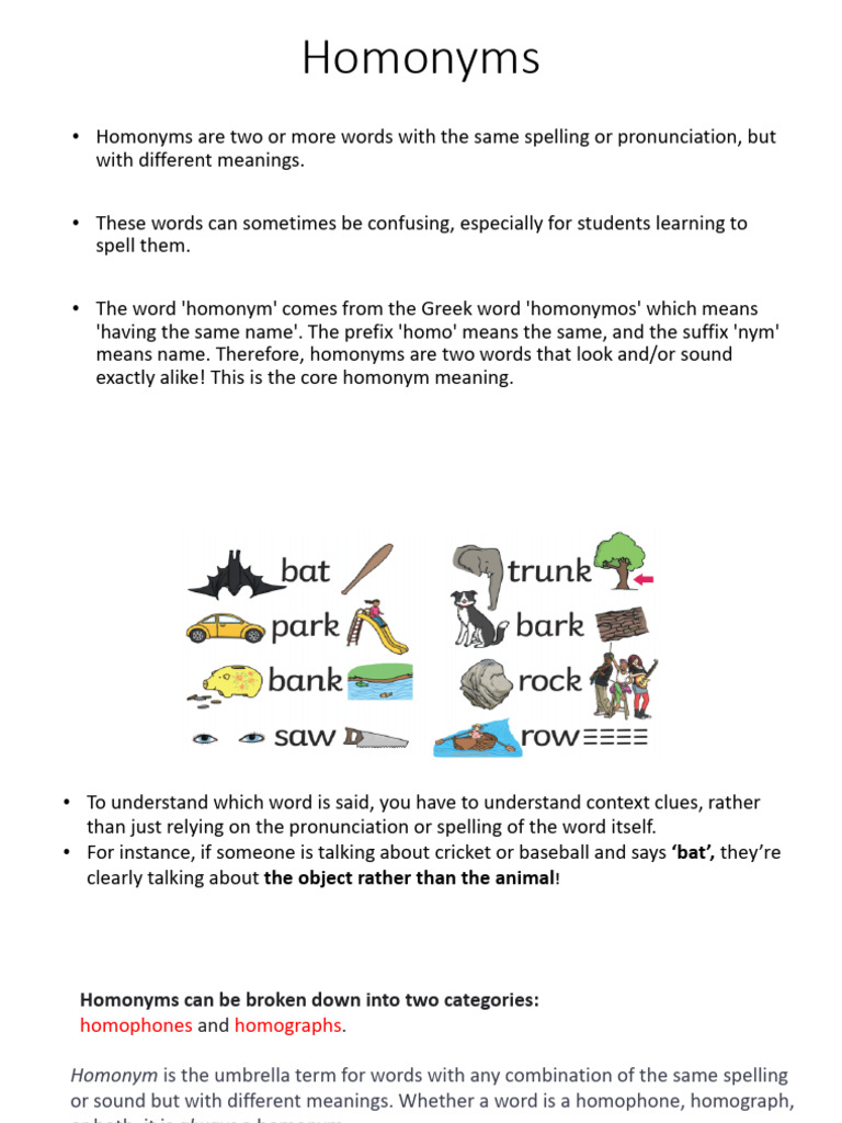 Understanding Homonyms and Examples | PDF