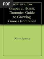 The Largest Bunch of Grapes | PDF | Vitis | Grape