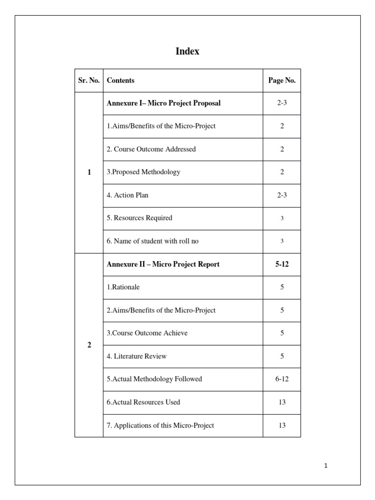 mgt microproject | PDF | Security | Computer Security