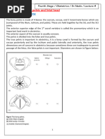 Female Pelvis Diameters Explained | PDF