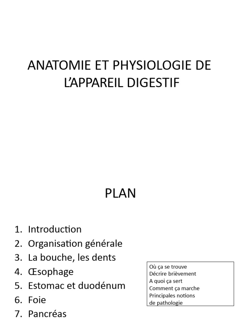 Anatomie de l'Appareil Digestif | PDF | Estomac | Tractus gastro-intestinal