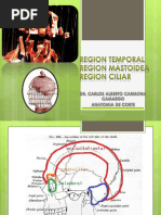 Region Superciliar ANATOMIA 2 FOLP | PDF | Anatomía humana | Cabeza y ...