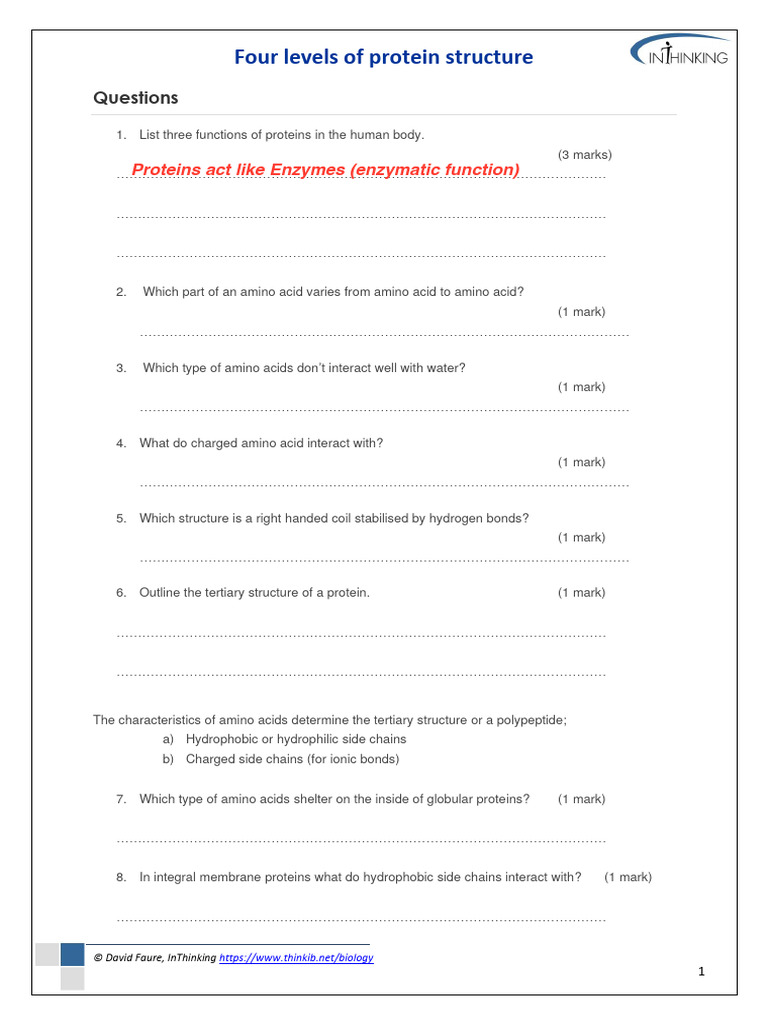 Four-Levels-Of-Structure Proteins Qns b2 1 | PDF | Proteins | Biomolecules